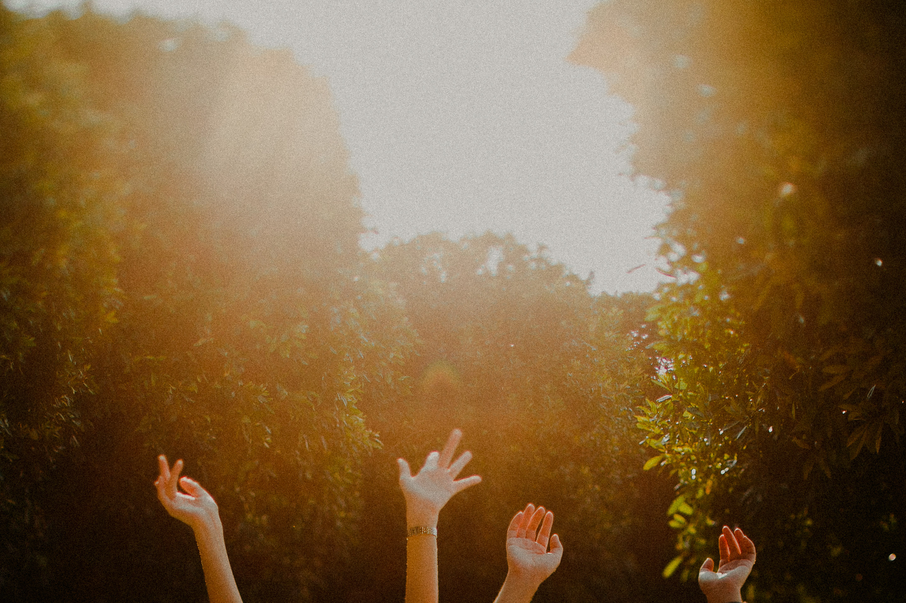 Oddly Familiar Photography Singapore | Prewedding | Wedding Day